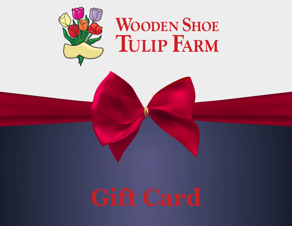 Wooden Shoe Gift Card • Wooden Shoe Tulip Farm